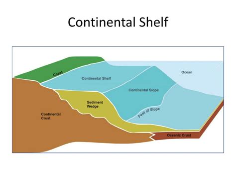 How Are Continental Shelf Formed At Alyssa Reeks Blog
