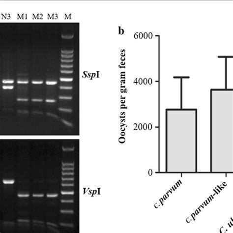 A Patterns Of Restriction Fragment Length Polymorphism Analysis Of The Download Scientific