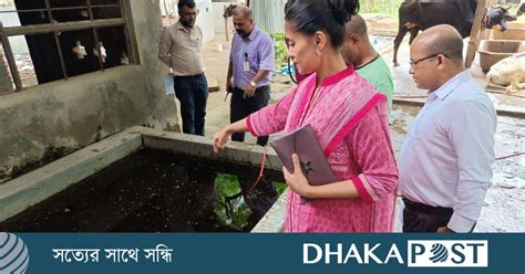 এডিসের লার্ভা পাওয়ায় সাড়ে ৪ লাখ টাকা জরিমানা