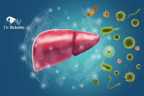 Hepatite Autoimune Gastro Oncologia