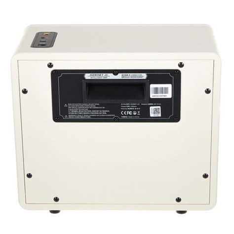 Mooer Hornet 15i Modeling Amp White – United States