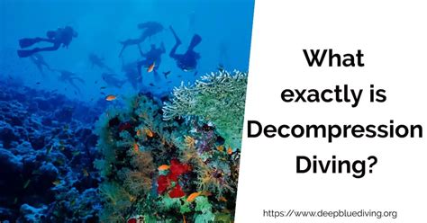 Decompression Diving What Is It And Do You Need To Know It