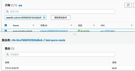 使用反向代理在混合云场景下进行Amazon ECR 镜像推拉 亚马逊AWS官方博客