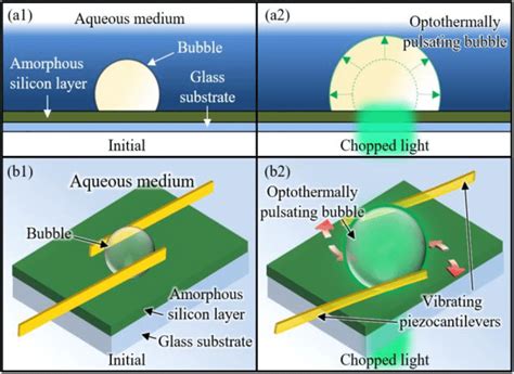 Schematic Diagram Of A An Optothermally Induced Bubble Pulsation