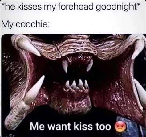 The Best Predator Memes Memedroid