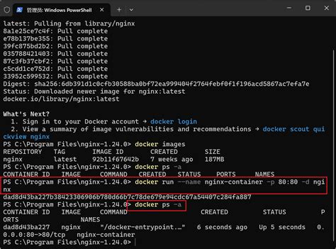 Nginx