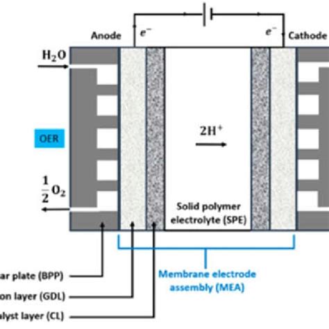 Schematic Of The Pem Electrolyzer Showing Its Main Components [34] Download Scientific Diagram