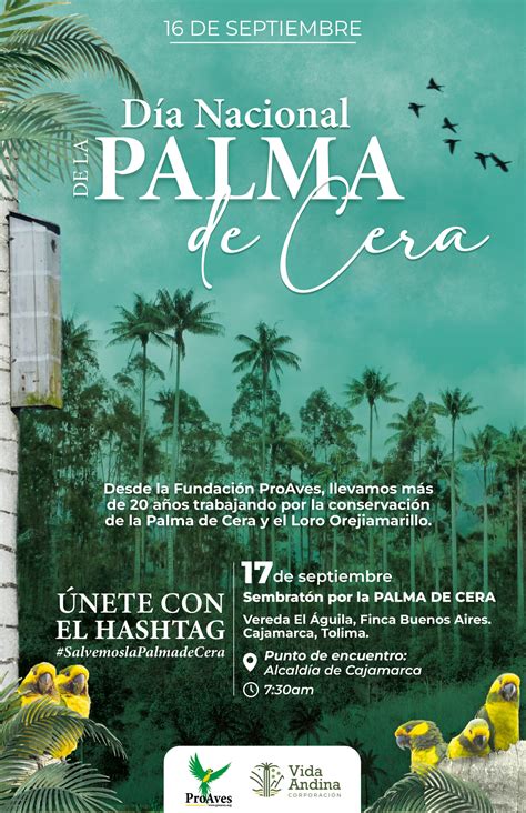 Día Nacional De La Palma De Cera Fundación Proaves Por La