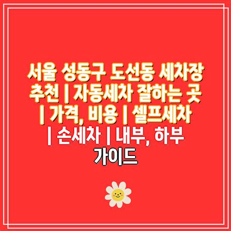 서울 성동구 도선동 세차장 추천 자동세차 잘하는 곳 가격 비용 셀프세차 손세차 내부 하부 가이드