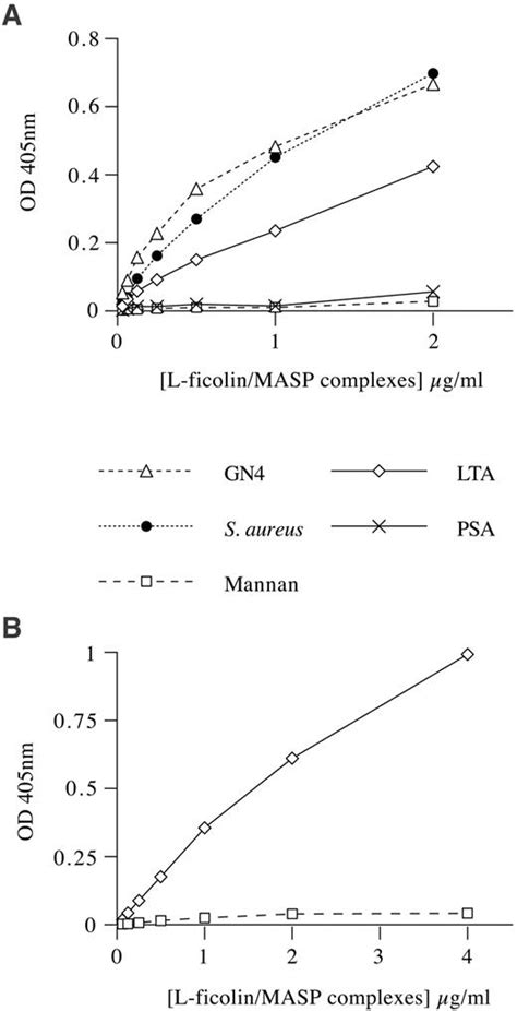L Ficolin Specifically Binds To Lipoteichoic Acid A Cell Wall Constituent Of Gram Positive
