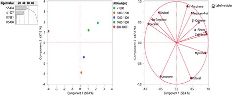 Figure 1 From Biochemical Profiling Of Peel And Pomace Of Organically Grown Citrus Reticulata At