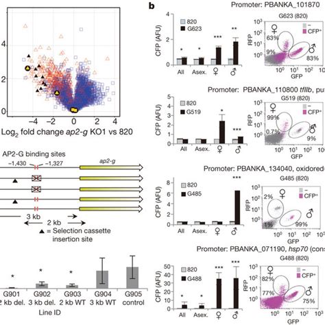 Characterization Of The DNA Binding Specificity Expression And
