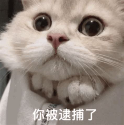 Ai认定他在千里之外作了案，送进监狱关了7天 知乎