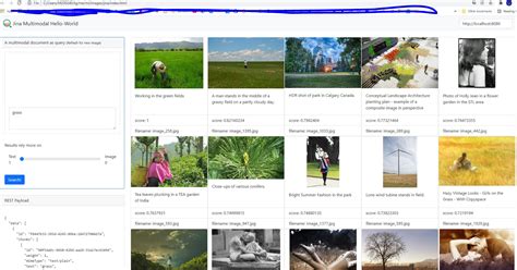 The Multimodal Demo Cannot Be Accessed From Localhost Issue Jina Ai Jina GitHub
