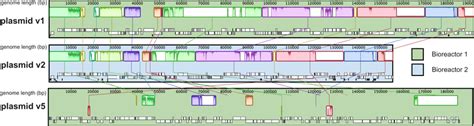 Genome Alignment Of Curated Plasmid Versions V1 V2 And Contig Of Download Scientific Diagram