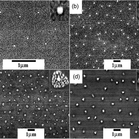 SEM Images Of In Islands On Au Substrate At A Download Scientific Diagram