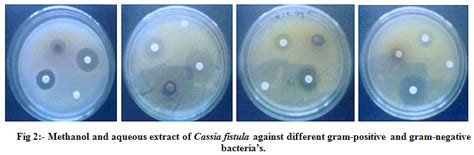 In Vitro Evaluation Of Antibacterial Activity Of Cassia Fistula Against