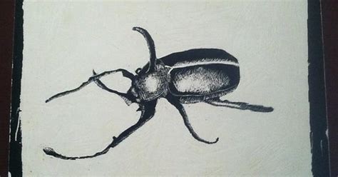 Beetle Imgur