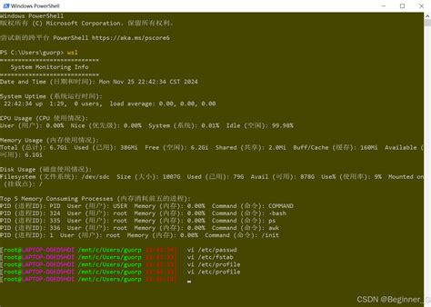 【powershell配色方案修改 —— Windows 10下设置powershell背景，文字，命令，错误信息，错误信息背景等等的颜色