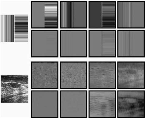 Example Of The Application Of 8 Gabor Filters To A Synthetic Textured