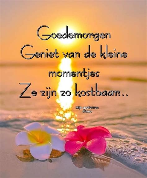 Gedicht Over Tolerant Zijn Dichtgedachten 459 Martin Gijzemijter Artofit