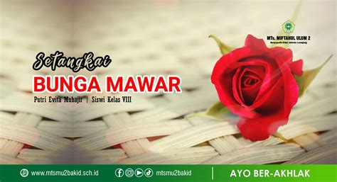 Setangkai Bunga Mawar Mts Miftahul Ulum 2