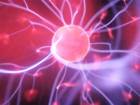 Scientists Connect 16 Human Mini Brains Make Biocomputer