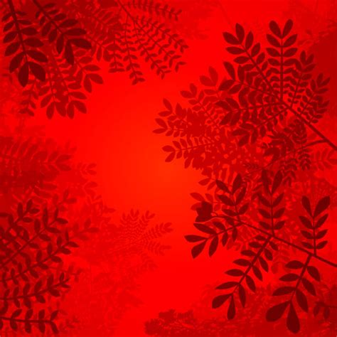 Tree Canopy From Below Stock Vectors Istock