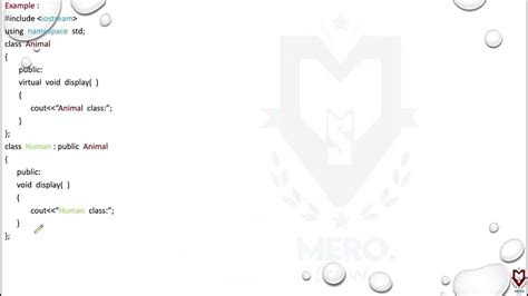 8 Run Time Type Informationrtti And Dynamic Cast Operator Youtube