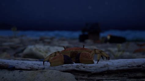Cg Pro On Linkedin Virtualproduction Halloween Gamedesign