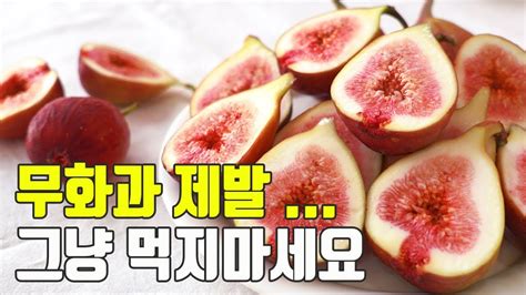 무화과의 모든것 이것만 숙지하세요 먹는법 보관 씻는법 효능 Youtube