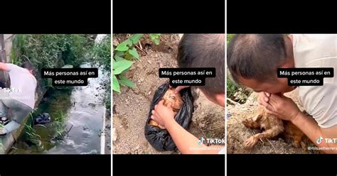 Tiktok Viral Hombre Rescata A Perrito De Morir Ahogado Y Es Elogiado