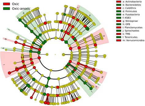 The Phylogenetic Distribution Of Microbial Lineages Associated With The