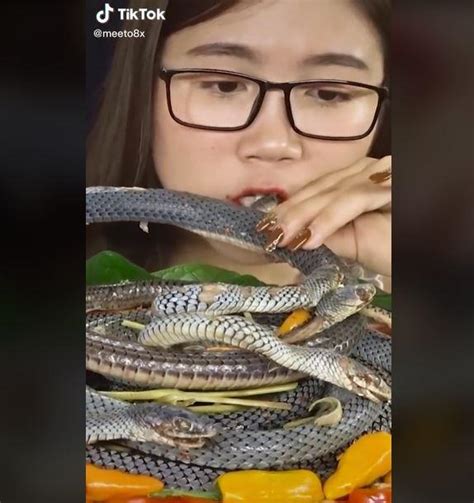 Lihat Cewek Cantik Makan Ular Netizen Auto Ngeri Karena Hal Ini