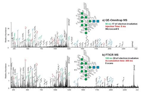 Eed Ms 2 Spectra And Cleavage Maps Of Reduced And Permethylated
