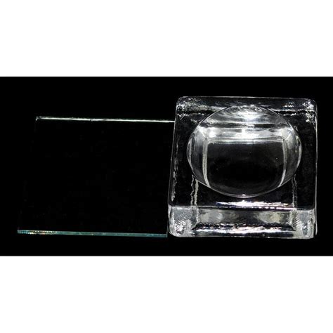 Embryo Staining Dishes Proscitech