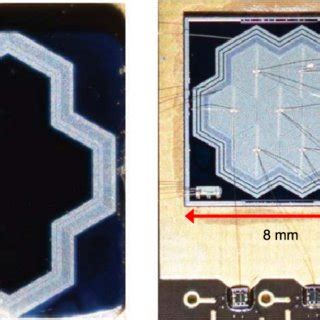 Close Up Photographs Of The Detector Chip A The Photograph Shows The Download Scientific