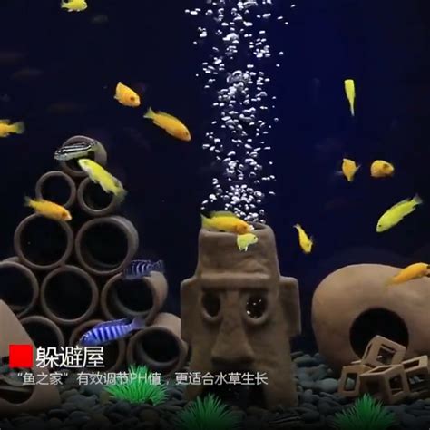 多款式 魚缸造景 魚蝦躲避 水族陶罐 水族配件 蝦屋 躲避屋 蝦窩 飾品 擺飾 繁殖甕 蝦罐 慈鯛罐 異形型甕 蝦皮購物