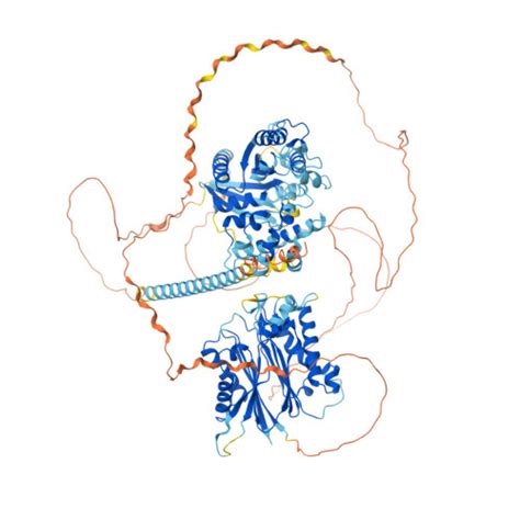 RCSB PDB AF AFO15743F1 Computed Structure Model Of Protein Spalten