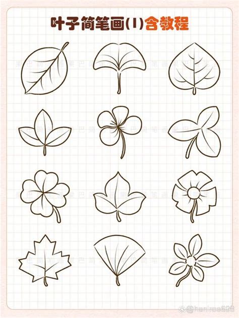 一大片叶子简笔画（流行12张） 简笔画图片大全