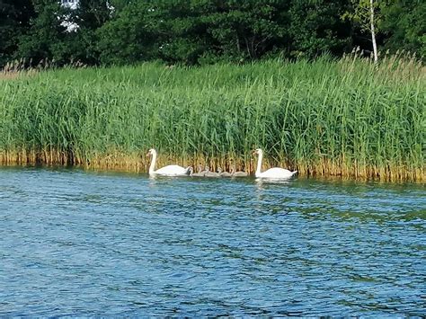Domek Malinka Mazury nad jeziorem Sasek Wielki koło Szczytna nocleg