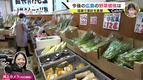 「猛暑で高騰したが価格は下がりつつある」今後の広島の野菜価格は Tbs News Dig