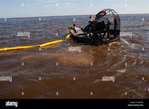 Oil From The Bp Deepwater Horizon Oil Spill In The Gulf Of Mexico