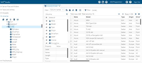 Sas Data Set Online Tutorials Library List Tutoraspire