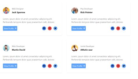 Teamate Team Showcase Tailwind CSS3 HTML Brilliance By PaiTheme