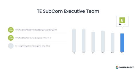Te Subcom Executive Team Comparably