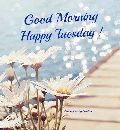 Happy Tuesday White Daisies By The Waters Edge