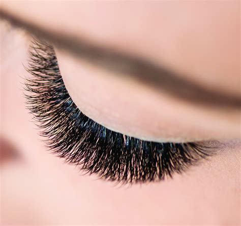 Lash