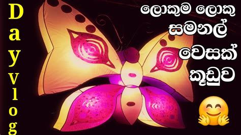මගේ ලොකුම ලොකු වෙසක් කූඩුව🤪🤗 Wesakfestival2024 Wesak Dayvlog
