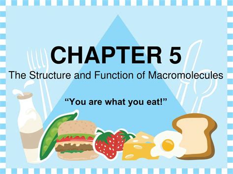 Ppt Chapter The Structure And Function Of Macromolecules Powerpoint